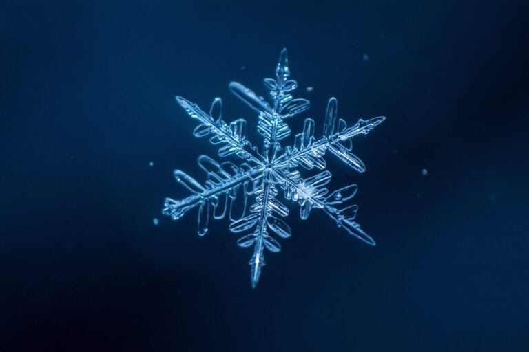 My Snowflake Position is Up 33% in a Day—Here's What I'm Doing Next ...